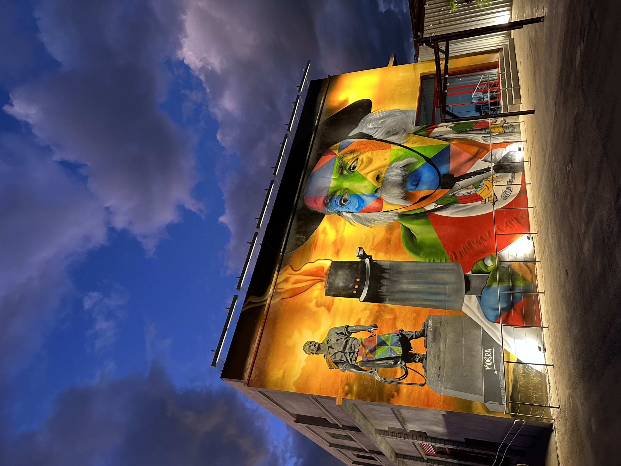 4D COMPLEX HOUSE – MURAL EDUARDO KOBRA - Eduardo Becker